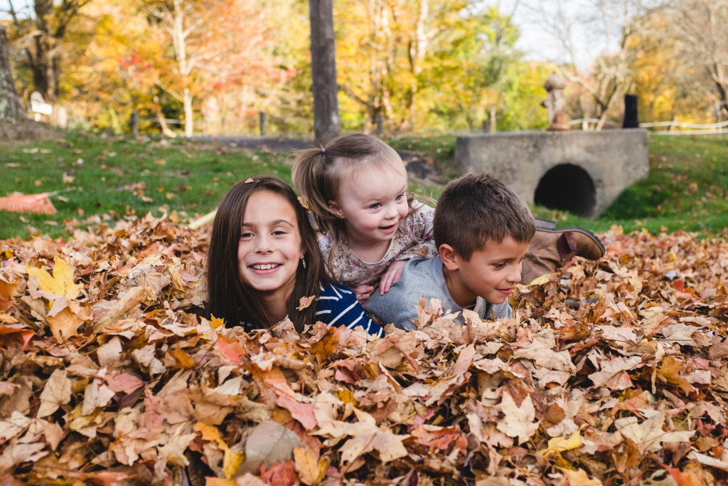 What I Love About Autumn - Live Lovely Photography
