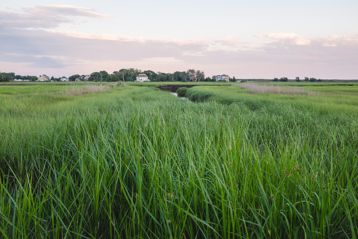 Your Complete Summer Guide to the Connecticut Shoreline | Connecticut ...