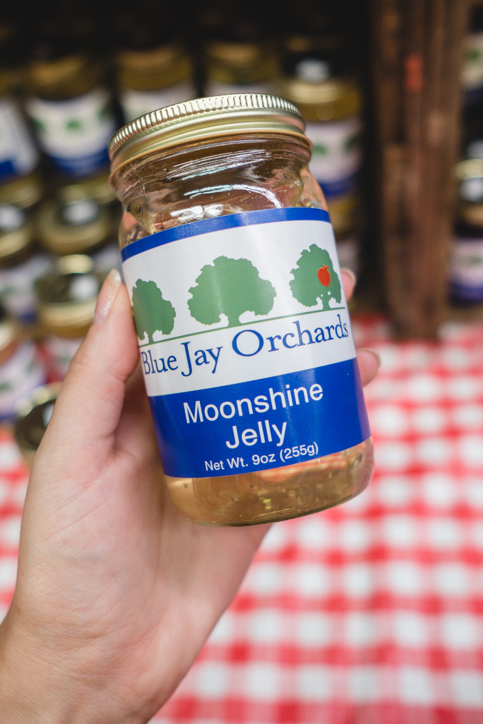 Blue Jay Orchards | Apple Picking | Connecticut Charm - Live Lovely ...