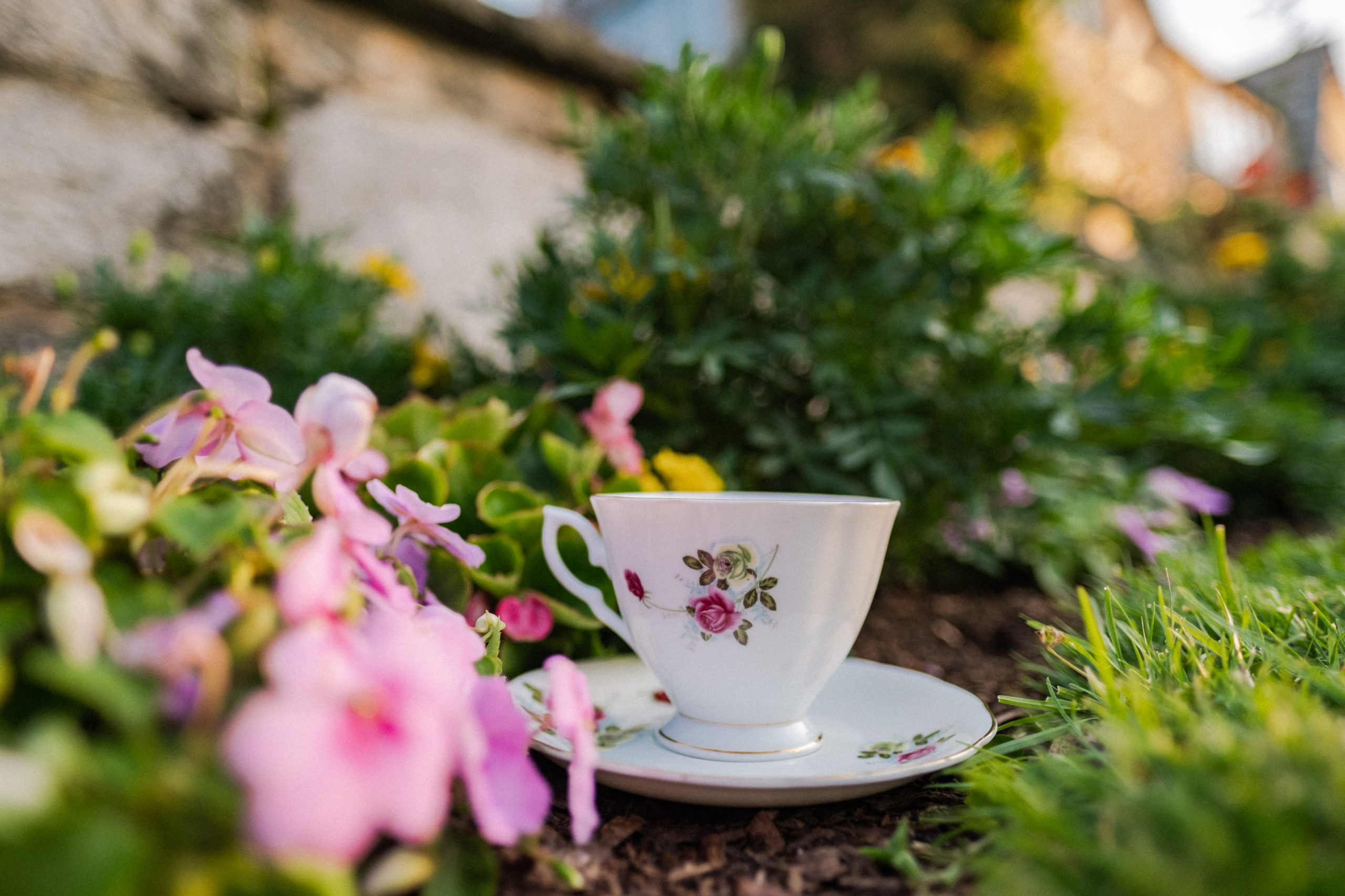 Tuesday Tea | Developing Empathy - Live Lovely Photography