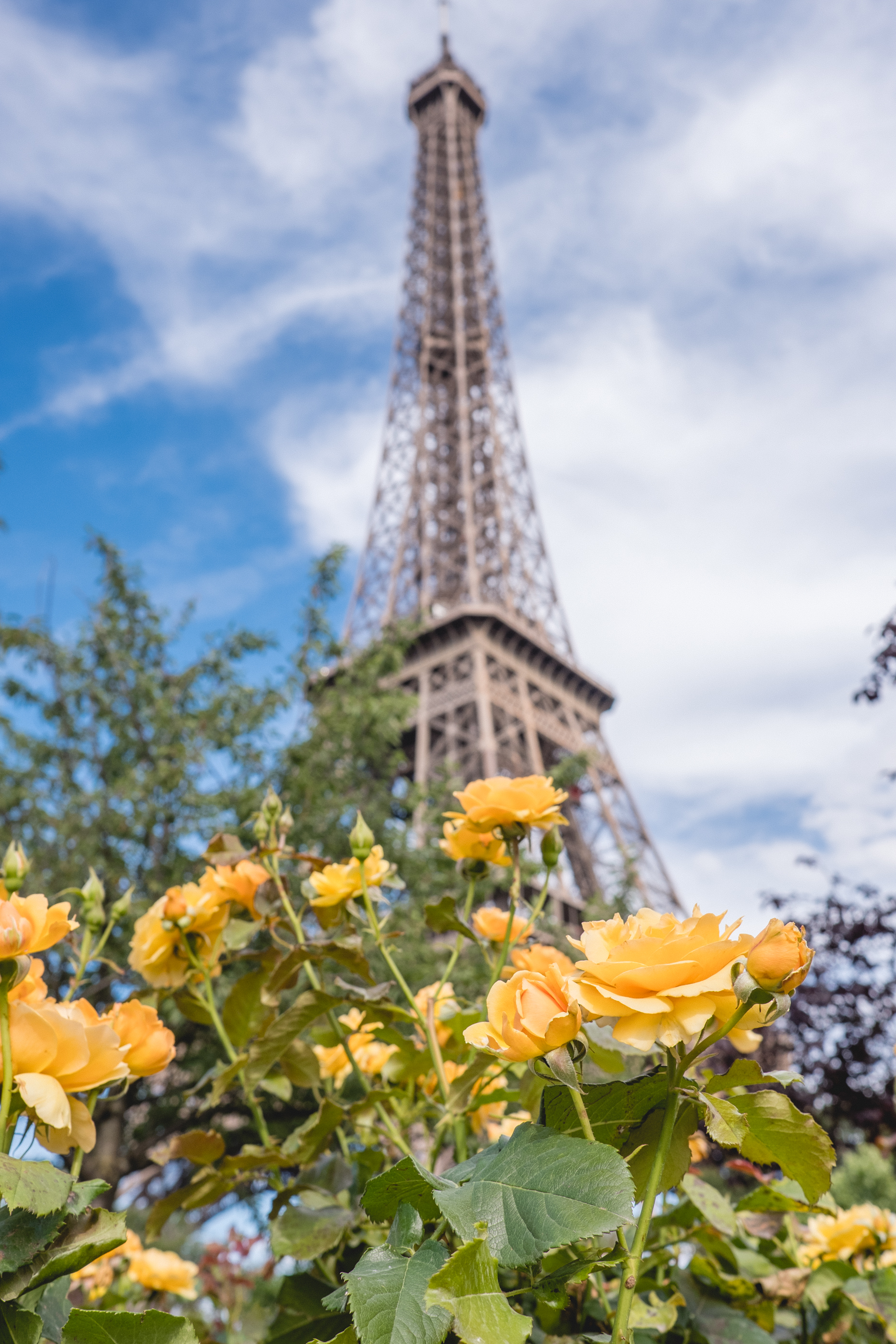 What To Wear in Paris | Summer Ladies Edition - Live Lovely Photography