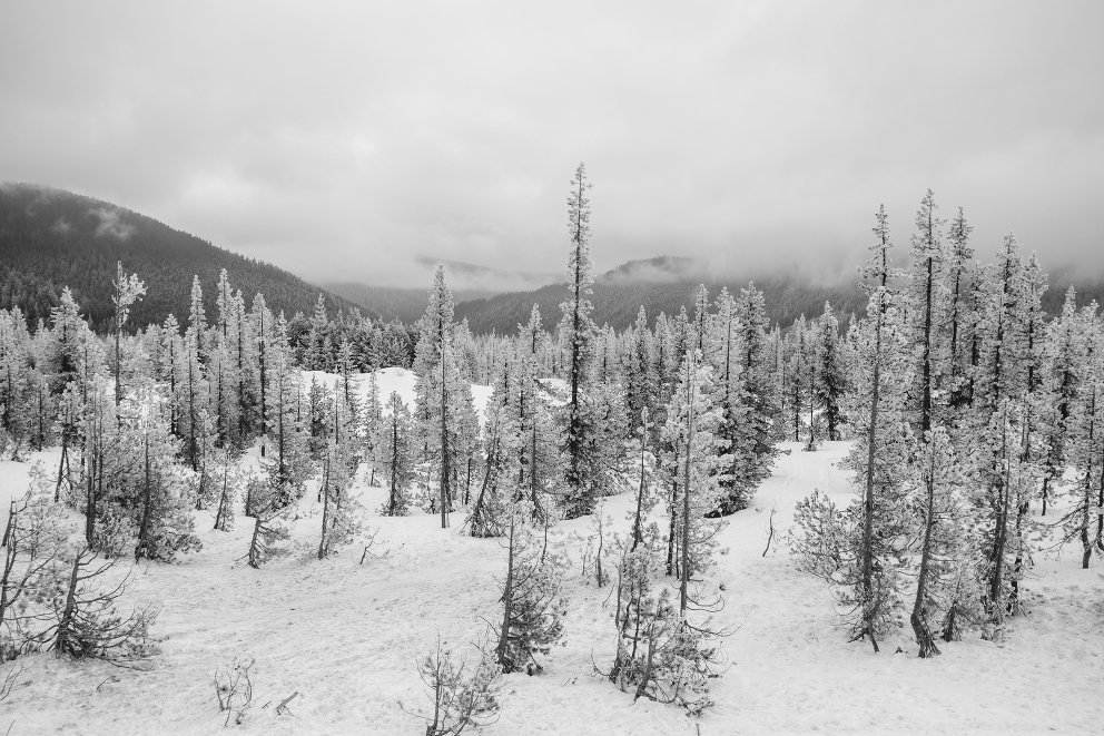 Our Recent Adventure To Bend, Oregon | Live Lovely Travel - Live Lovely ...