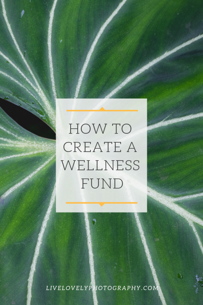 How To Create A Wellness Fund - Live Lovely Photography