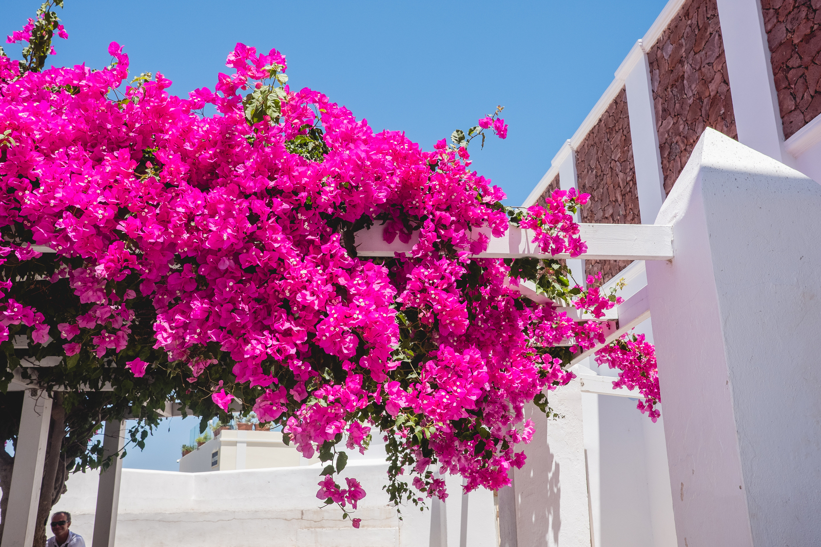 Atlantis Books | Oia, Santorini - Live Lovely Photography