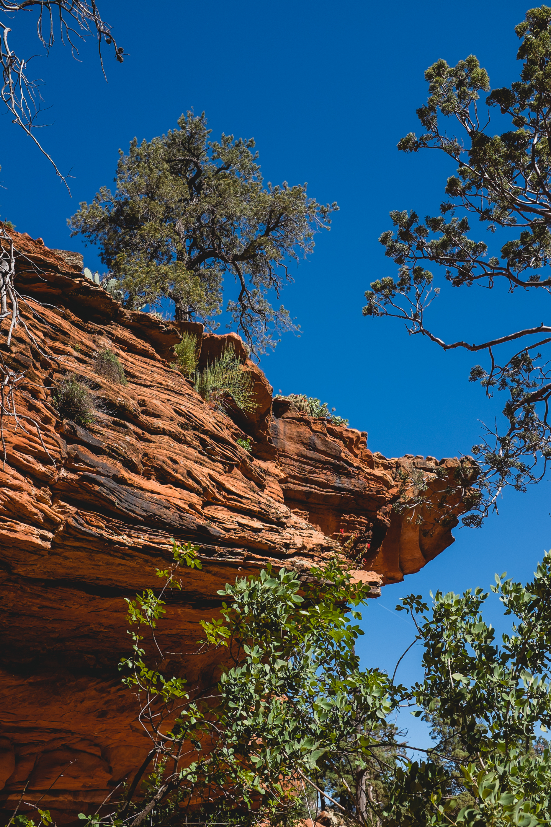 Arizona Photo Journal | Live Lovely Travel - Live Lovely Photography