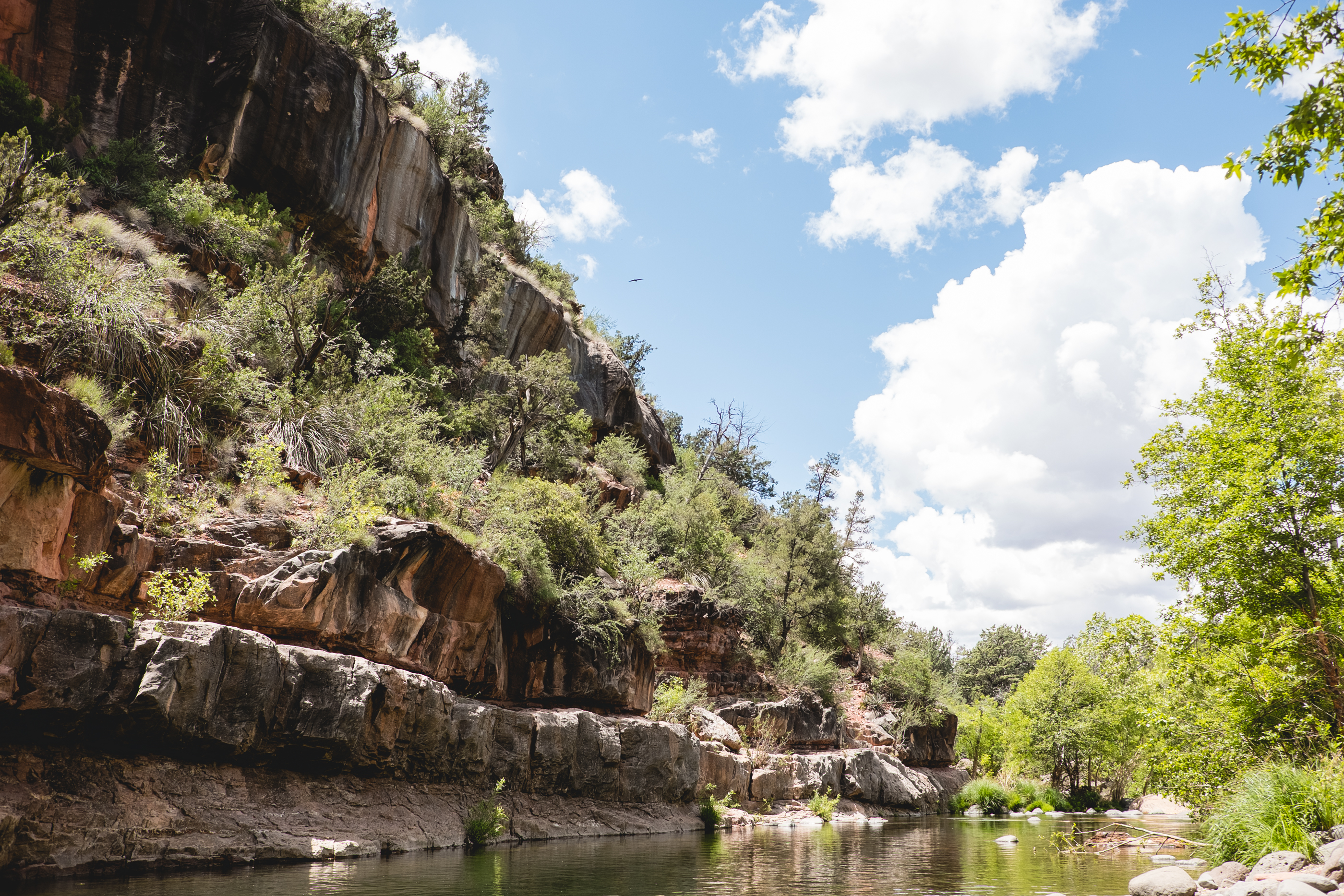 Arizona Photo Journal | Live Lovely Travel - Live Lovely Photography