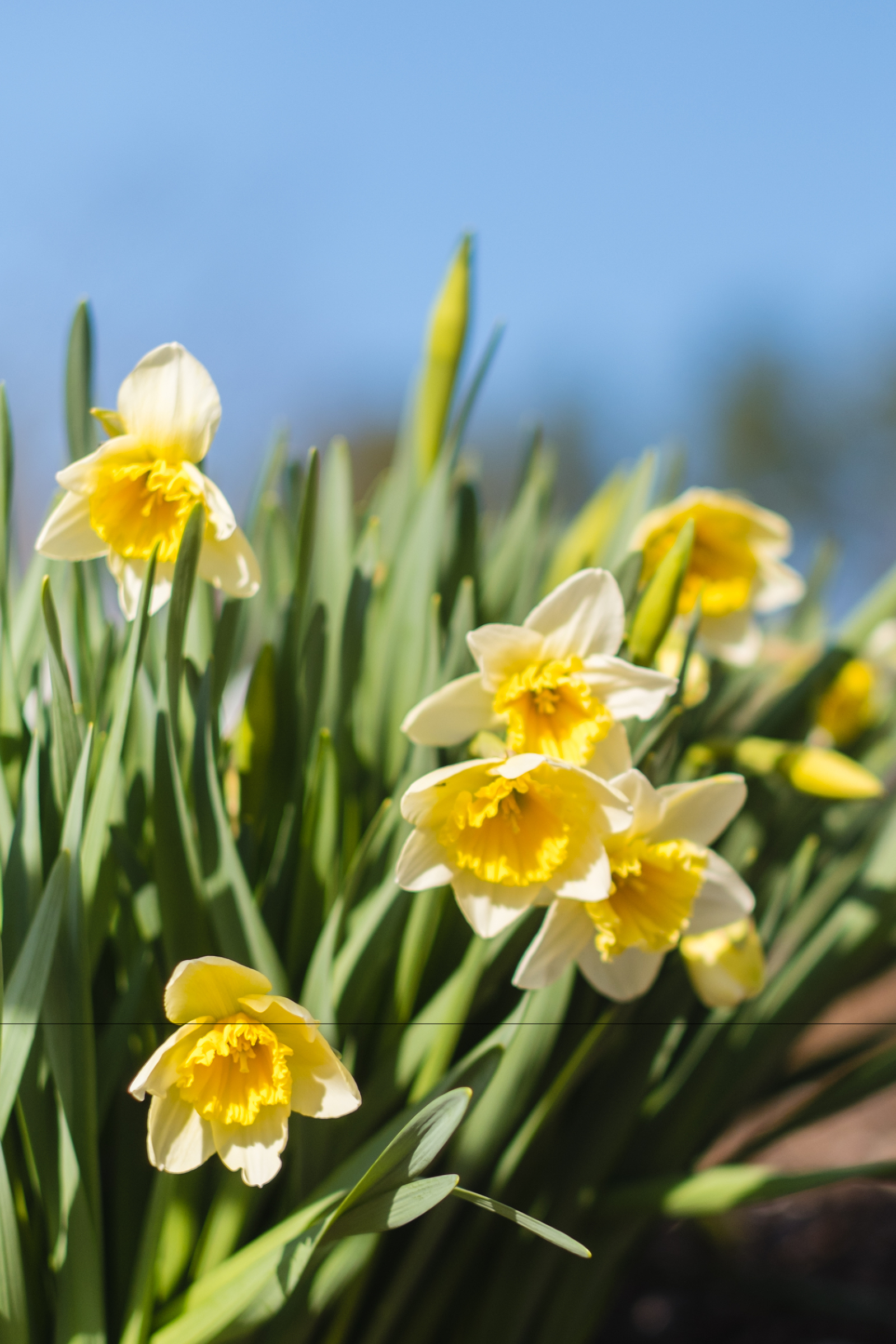 Tidy House CT | Best Spring Cleaning Tips - Live Lovely Photography