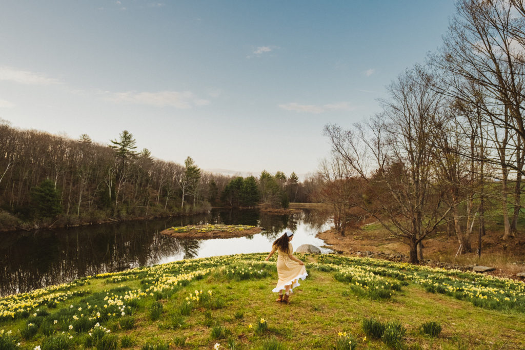 Laurel Ridge Foundation Daffodils | Connecticut Charm - Live Lovely ...