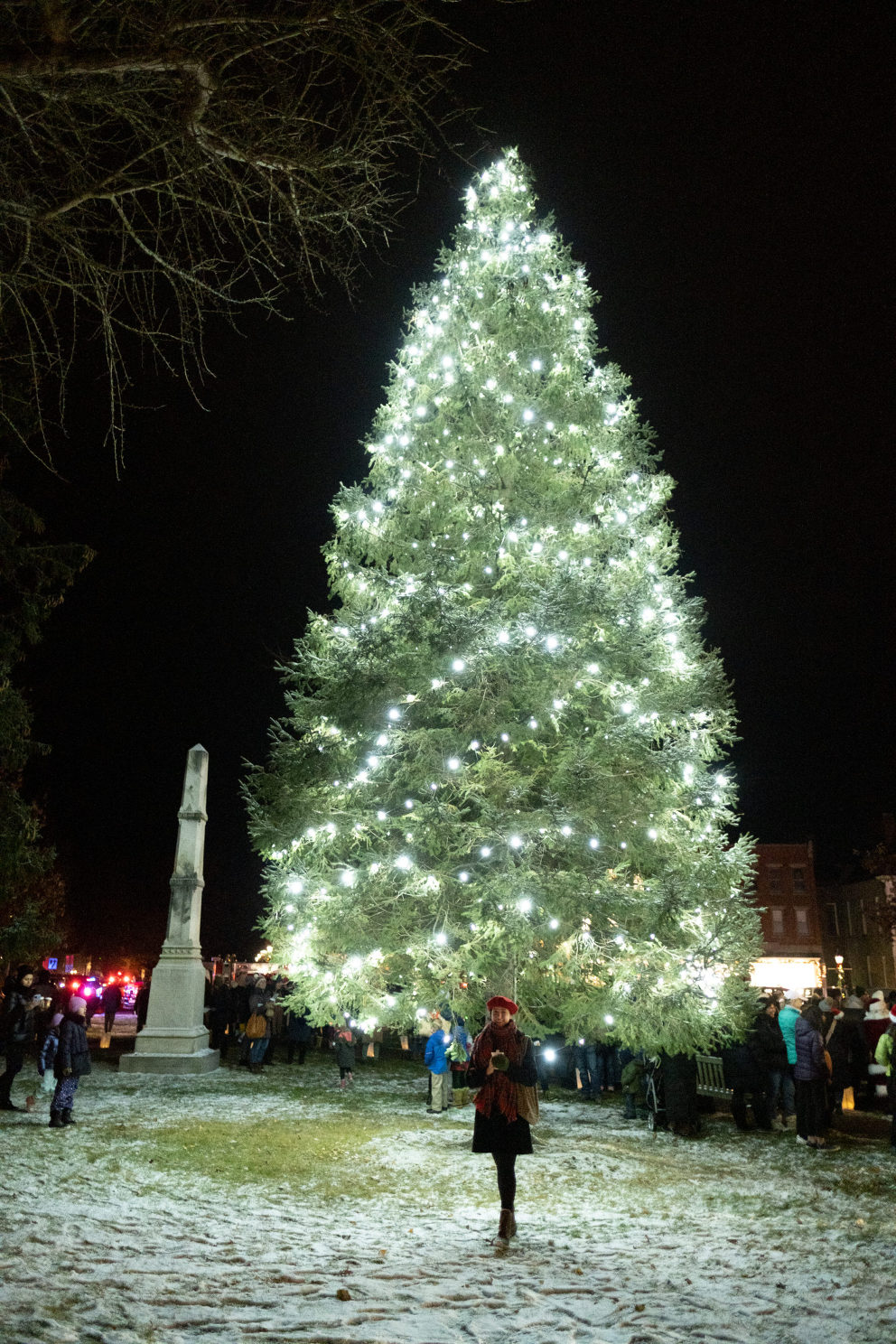 The Top Connecticut Christmas Tree Lightings | Connecticut Charm - Live ...