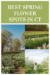 Twenty Places To Find The Spring Flowers | Connecticut Charm - Live ...