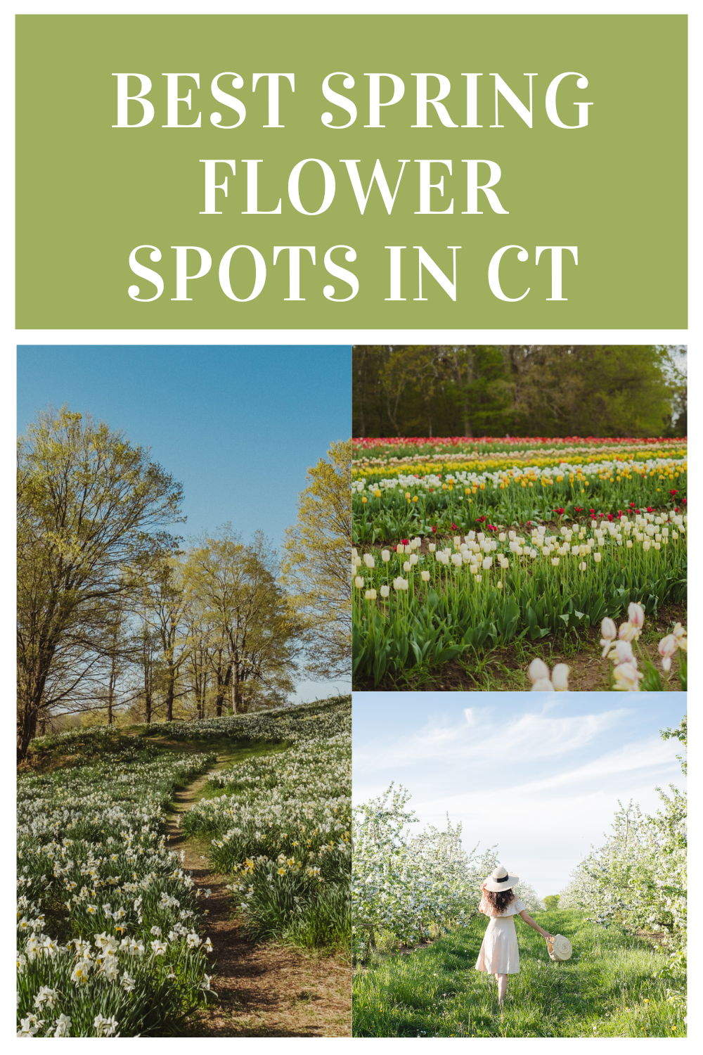 Twenty Places To Find The Spring Flowers | Connecticut Charm - Live ...