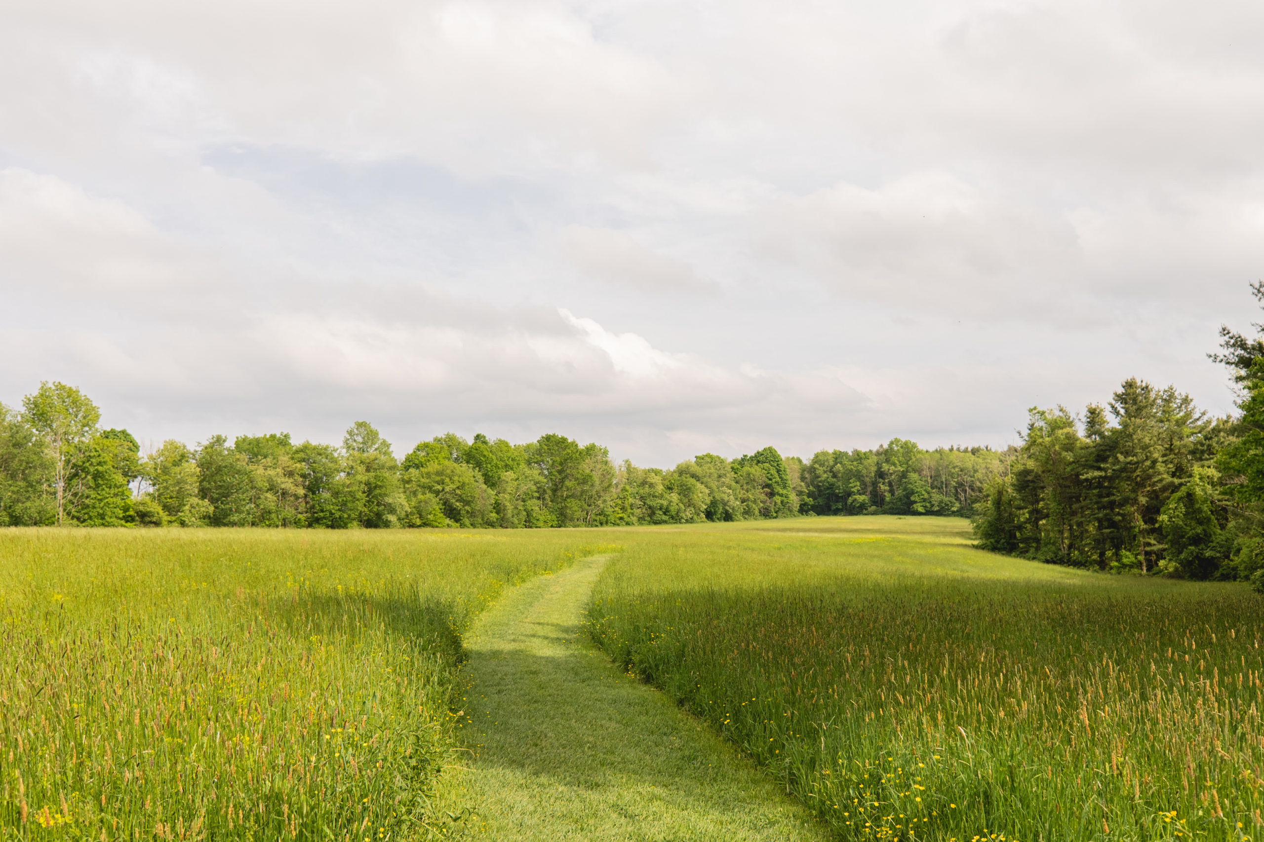 The Tale Of Hill Top Farm | Book Review - Live Lovely Photography