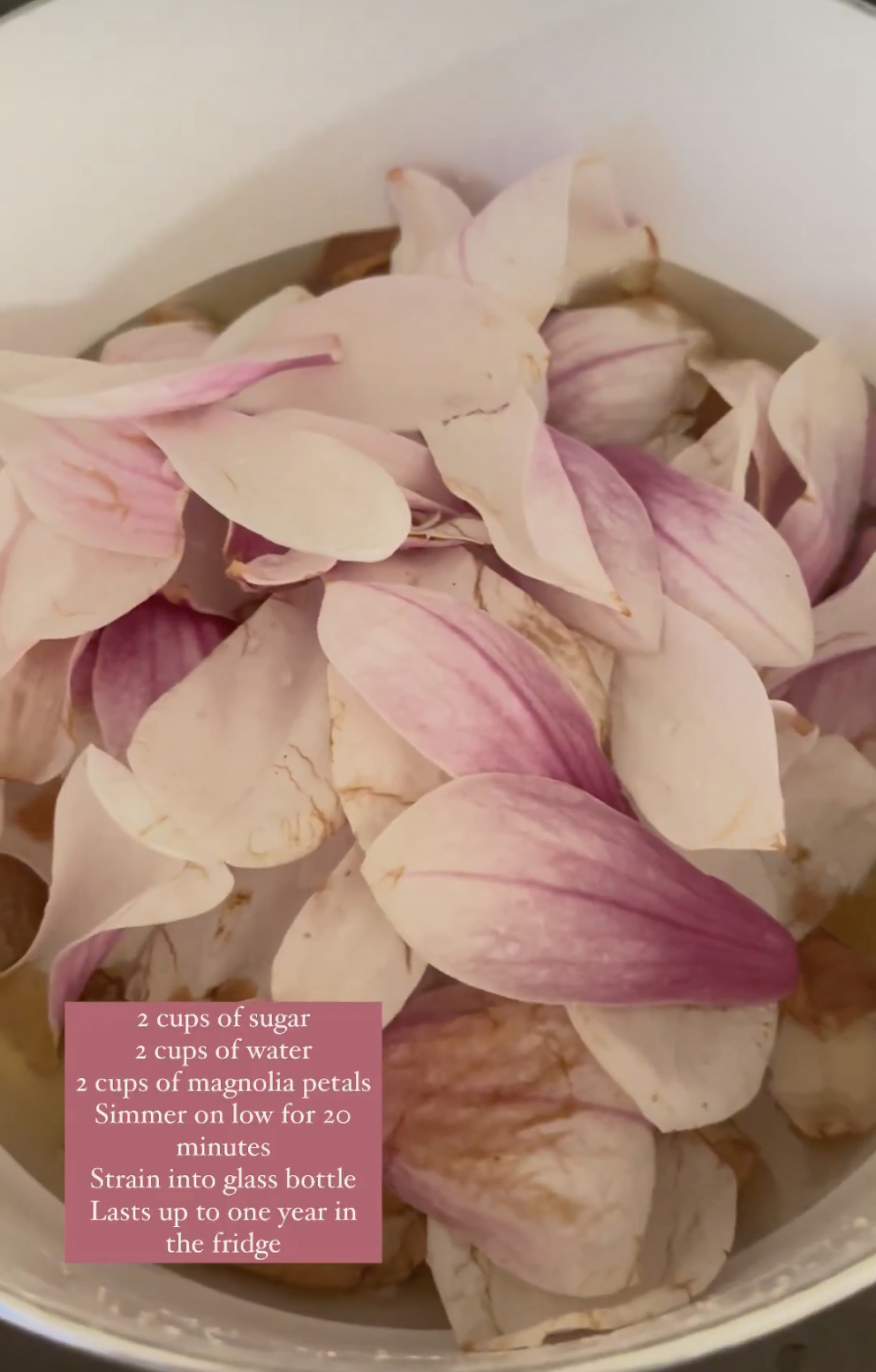 Magnolia Syrup | Spring Floral Syrup Recipe - Live Lovely Photography