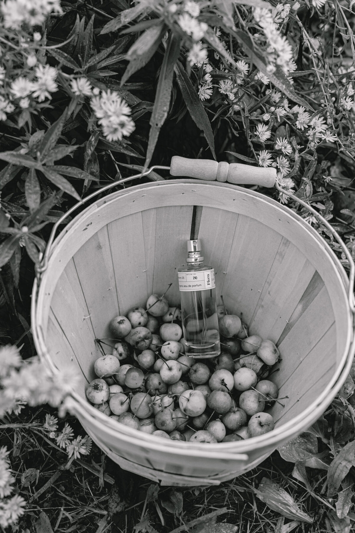 My Experience With A Year Of Ffern Perfume - Live Lovely Photography